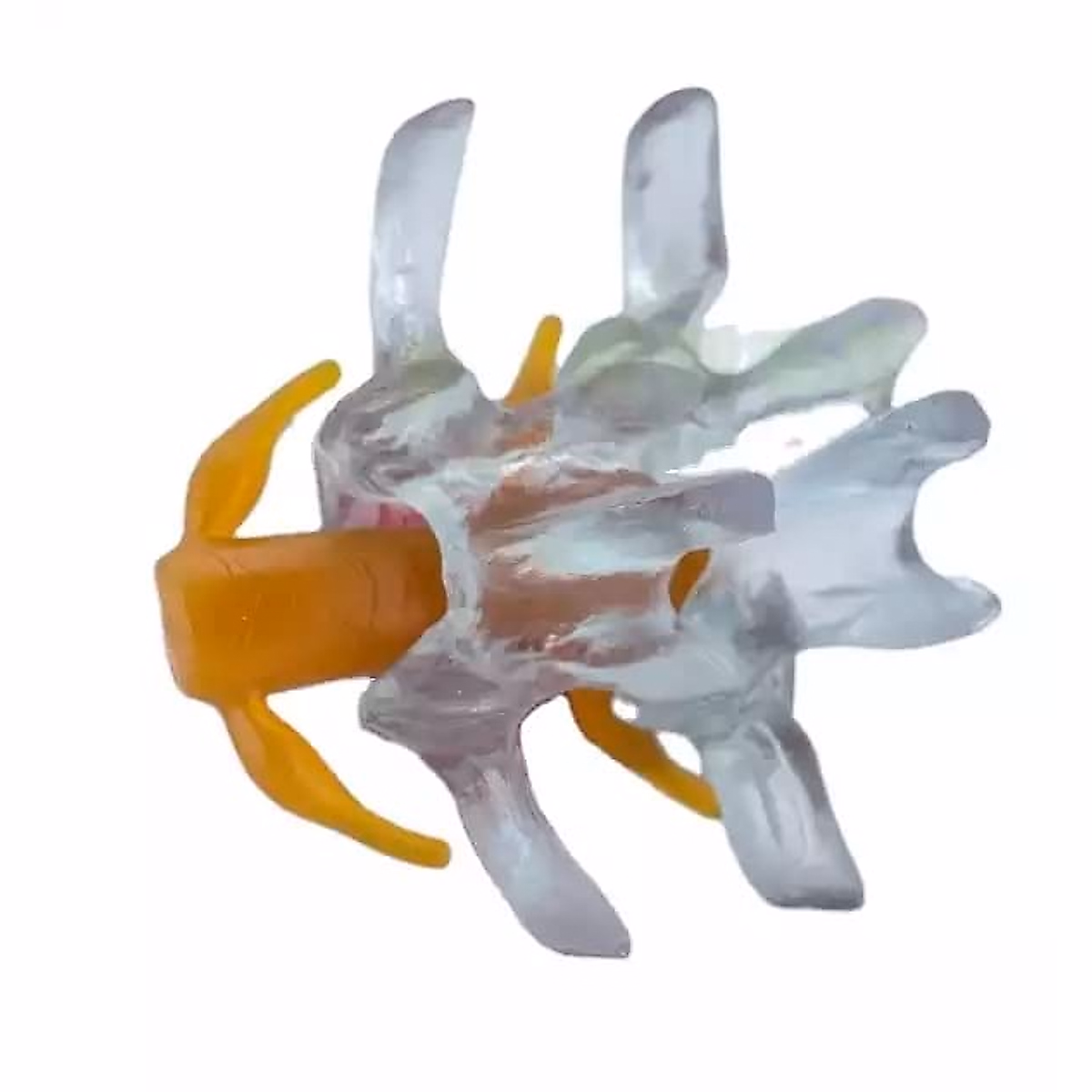 DenFactory Human 1.5 Times Life-Size Transparent Lumbar Disc Herniation Spine Model for Teaching and Learning