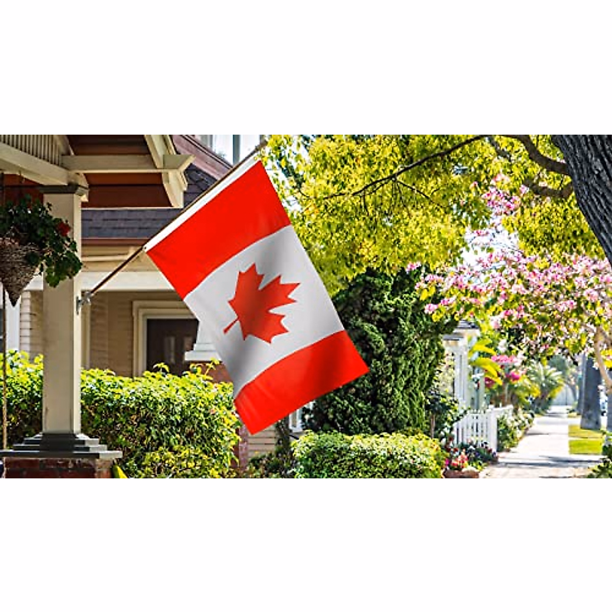 DANF Canada Flag 3x5 Ft Thick Polyester, Fade Resistant, Brass Grommets, Canvas Header,Double Sided Canadian National Flags 3 x 5 Feet