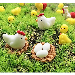 DoTebpa 22Pcs Miniature Family Chicken,Cock,Hen,Egg,Chicken Nest Ornament Micro Landscape Fairy Garden Décor