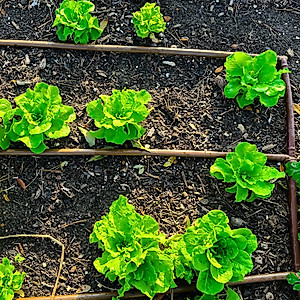 500'ft Drip Irrigation Line 1/4" Tubing Roll, 6" Emitter Spacing .52 GPH Black (.170 ID x 240 OD) (500' Foot Roll)