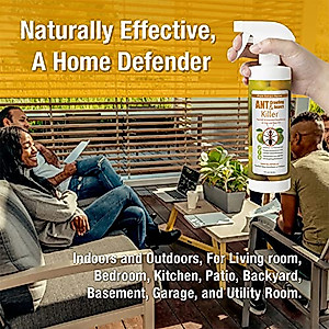 EcoRaider Ant & Crawling Insect Killer (32 OZ), 100% Fast Kills, Also Kills Fire Ants. Lasting Repellency, Safe for Children & Pets