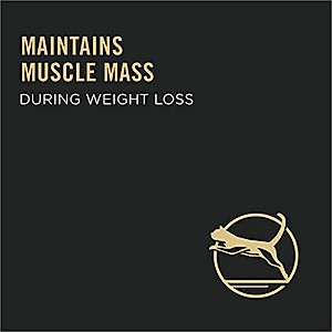 Purina Pro Plan Weight Control Dry Cat Food, Chicken and Rice Formula - 16 lb. Bag