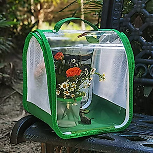 Small Butterfly Habitat, Insect Mesh Cage, Caterpillar Enclosure, Critter Cage, Bug Terrarium Portable Carry Handle Easy to Observe 8 x 8 x 8 Inches