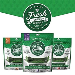 Dr. Dental Medium Fresh Chews Dental Dog Treats, Clear, 16 OZ