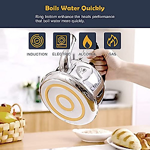 Tea Kettle Stovetop Whistling Teakettle Classic Teapot Stainless Steel Tea Pots for Stove Top with Thin Fast Heating Base, Mirror Finish, 2 liters