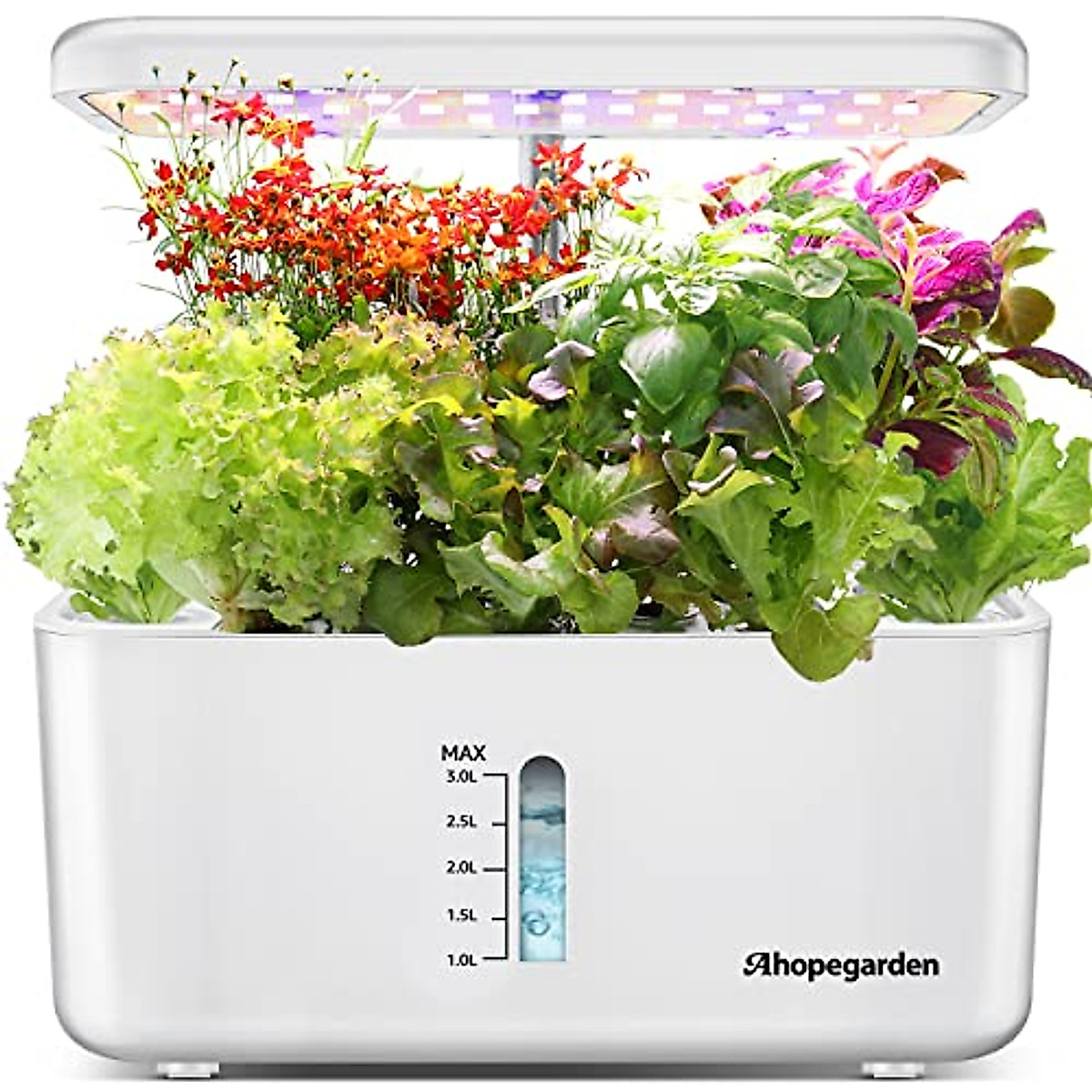 Indoor Garden Hydroponic Growing System: Ahopegarden Plant Germination Kit Aeroponic Herb Vegetable Growth Lamp Countertop with LED Grow Light - Hydrophonic Planter Grower Harvest Veggie Lettuce