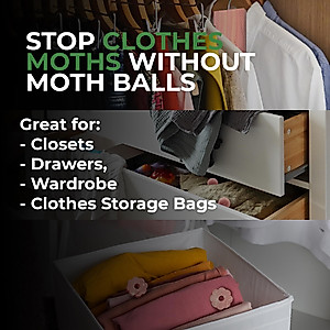 61 Pack Cedar Blocks, Sachets, Rings, Balls – Stop Clothes Damage – The Ultimate Cedar Collection to Protect Your Clothes