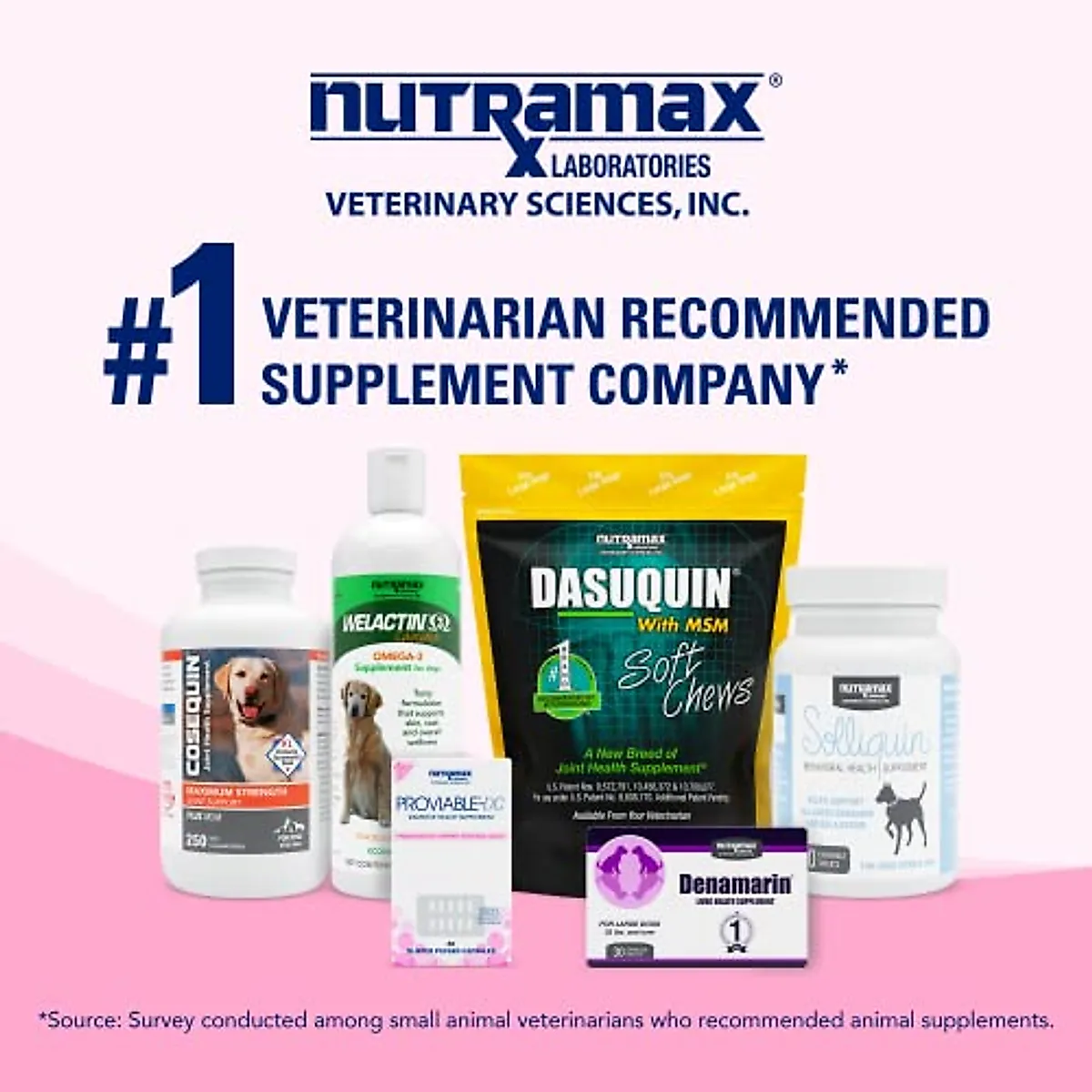 Nutramax Proviable Digestive Health Supplement Multi-Strain Probiotics and Prebiotics for Cats and Dogs - with 7 Strains of Bacteria, 80 Capsules