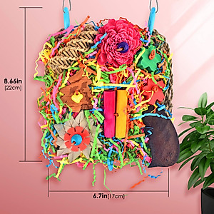 KATUMO Bird Toys, Parrot Grass Mat Foraging Wall Toys Parakeet Shredder Toys for Cockatiel, Conure, Lovebird, Budgie, Parakeet Small Medium Birds