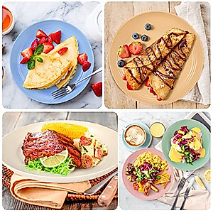 ZongXing Plastic Plates Reusable, 14 Pack 9 inch Wheat Straw Plates, Lightweight Unbreakable Dinner Plates Set, Healthy Cereal Dishes Dishwasher & Microwave Safe