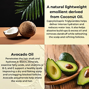 Ayumi Bio-Active Scalp & Hair Oil | Clinically Tested to Reduce Dandruff and Dry Flakes | Soothes Itchy Scalp | Pre Shampoo Treatment | Nourishes & Protects Hair Strands | 5.1 Fl Oz