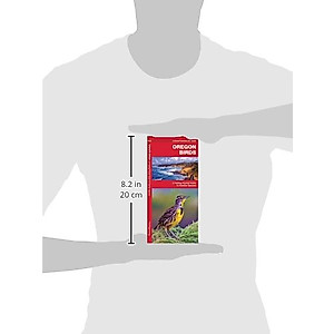 Oregon Birds: A Folding Pocket Guide to Familiar Species (Nature Observation North America)