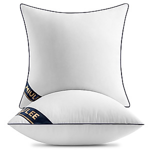 MIULEE 18x18 Pillow Inserts Set of 2 Throw Pillows 18 Inch Premium Down Alternative Pillow Inserts Decorative Pillow Stuffer for Sofa, Couch (18x18 inch, Set of 2)