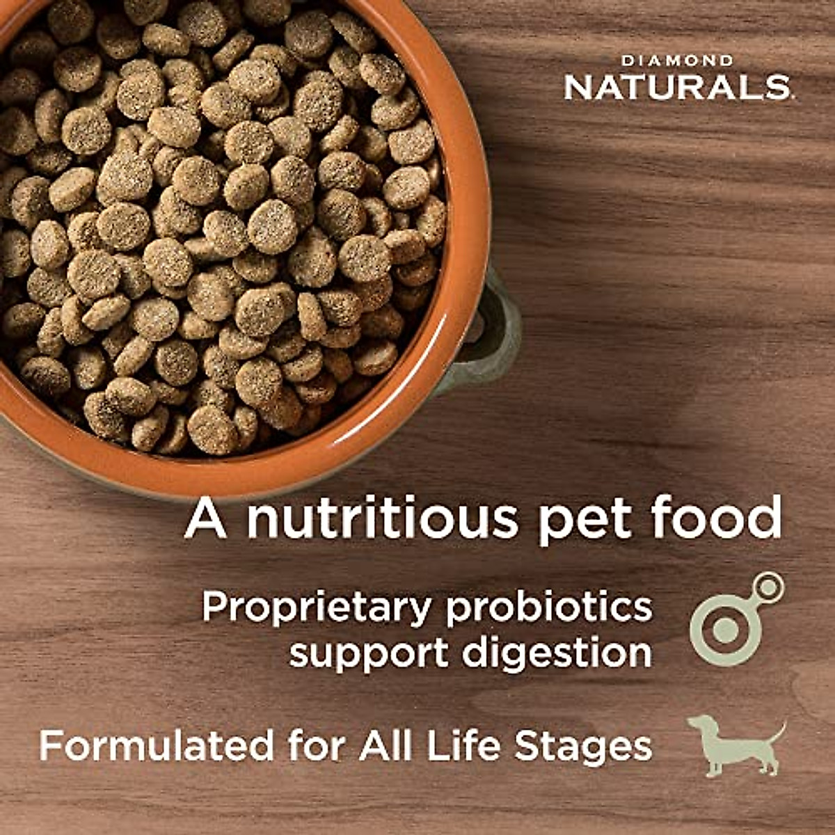 Diamond Skin & Coat Real Meat Recipe Dry Dog Food with Wild Caught Salmon 30 Pound (Pack of 1)