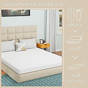 5 Inch Memory Foam Mattress Cooling Gel Green Tea Infused Mattress,Medium Firm Mattresses CertiPUR-US Certified/Bed-in-a-Box/Pressure Relieving Queen Size,White