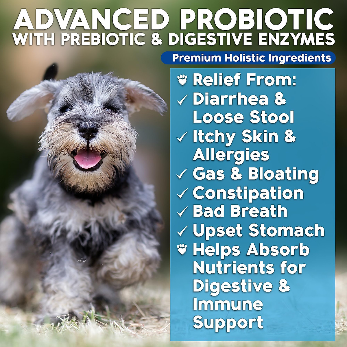 Well Loved Probiotics for Dogs, Dog Probiotics and Digestive Enzymes, Made in USA, Vet Developed, Dog Probiotic Chews with Prebiotics, Diarrhea Treatment, for Itchy Skin, Gut Health & Gas Relief