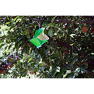 Codling Moth & Oriental Fruit Moth Trap (2 Pack, 8 Week)