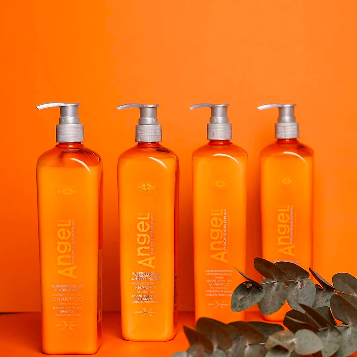 Dancoly Angel Professional Paris Marine Depth Spa Conditioner 16.8 fl oz