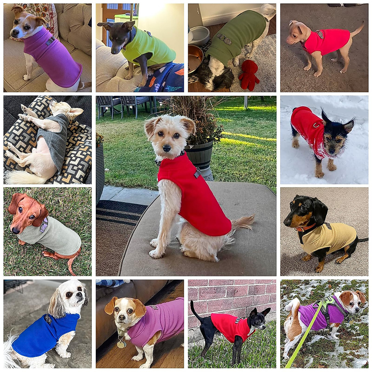 BEAUTYZOO Dog Fleece Vest Sweater Winter Jacket for Small and Medium Dogs with D-Ring Leash Cold Weather Coat Hoodie for XS S M Dogs Boy or Girls