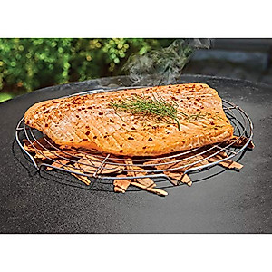 Cuisinart CGG-888 Outdoor Stainless Steel Lid, 360° Griddle Cooking Center