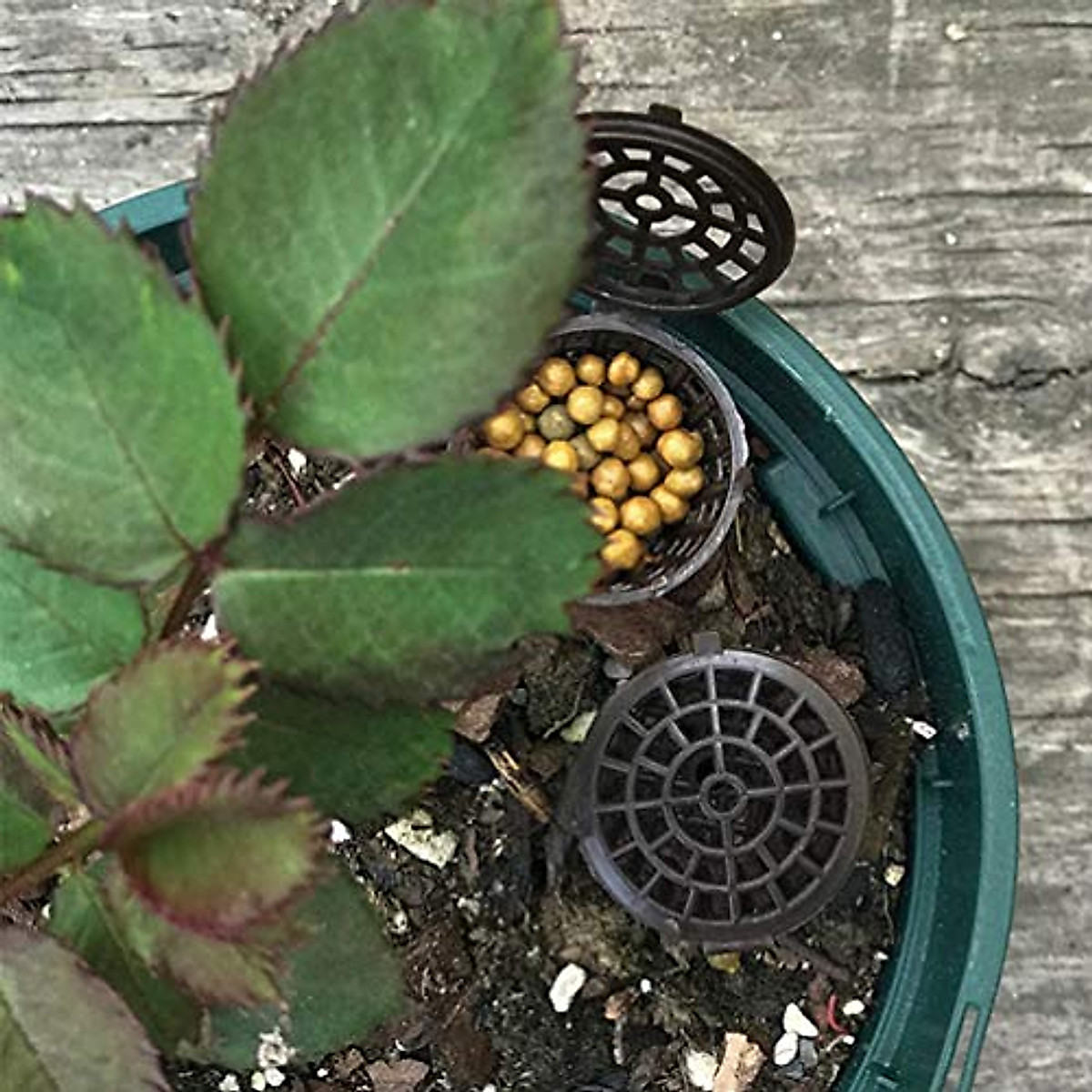 Happyyami 100Pcs Fertilizer Baskets Plastic Portable- Fertilizer Orchid Basket Fertilizer Mesh Basket with Lid Bonsai Fertilizer Box