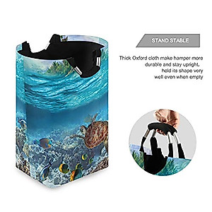 XLING Collapsible Laundry Basket Tropical Fish Ocean Animal Turtle,Foldable Laundry Hamper Washing Clothes Basket Bin Storage Bag Organization with Handles