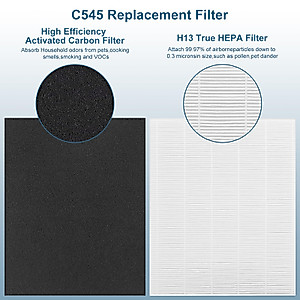 C545 Replacement Filter Compatible with winix Air puri-fier C545, H13 True HEPA Replacement Filter, Part Number 1712-0096-00 and 2522-0058-00, 2 True HEPA Filter