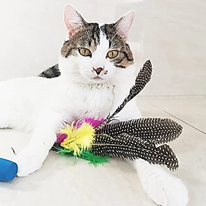 TIENAILING Cat Feather Toys Replacement Cat Wand Feathers Refill, 8 PCS Handmade Natural Da Bird Feather Refills, Cat Wand Replacement Feathers for Cat Toys