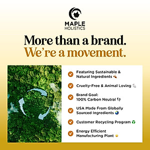 Pure Carrier Oils for Essential Oils - DIY Skin Care Set with Hair Oils Skin Oils for Body Care Moisturizers for Face and Body plus Nail Care - Anti Aging Skin Care DIY Beauty Products Carrier Oil Set