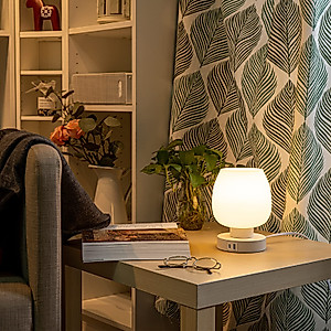 Touch Bedside Table Lamp Set of 2 - Small Modern Nightstand Lamp for Bedroom with USB C+A Charging Ports, 3-Way Dimable Desk lamp with White Opal Glass Lamp Shade, 3000K LED Bulb, Simple Design