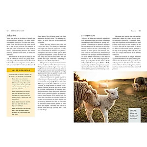 Storey's Guide to Raising Sheep, 5th Edition: Breeding, Care, Facilities