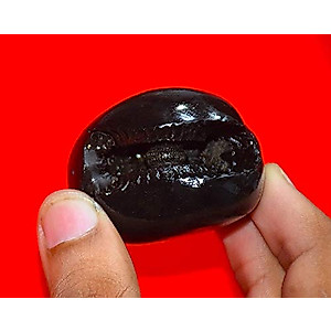 RUDRADIVINE Stone Laxmi Narayan Shaligram (Black)