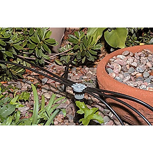 Rain Bird MANIFRE6S Drip Irrigation 6-Port Manifold, Unregulated Free Flow