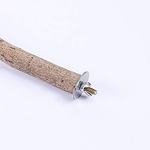 Parrot Nest Bird Feeder Bowl with Perches,2-in-1Natural Coconut Shell Food Container Playground Perch Play Stand Platform Toys for Parrot Conure Parrot Supplies