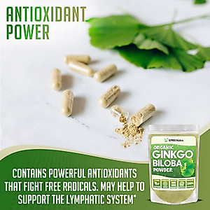 XPRS Nutra Organic Ginkgo Biloba Powder - Gingko Biloba Supplements for Cognition - Vegan Friendly Ginkoba Biloba Organic - Immunity Boosting Ginkgo Biloba Powder (8 oz)