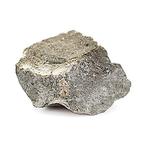 6PK Raw Gray Limestone, Sedimentary Rock Specimens - Approx. 1" - Geologist Selected & Hand Processed - Great for Science Classrooms - Class Pack - Eisco Labs