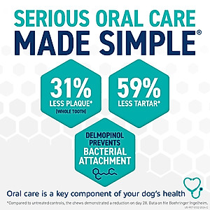 ORAVET Dental Chews for Dogs, Oral Care and Hygiene Chews (Large Dogs, Over 50 lbs.) Pink Pouch, 14 Count