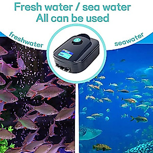 SUNWEN Aquarium Air Pump with Dual Outlet (4.5L/min, 12W), Ultra Quiet Aquarium Oxygen Fish Tank Oxygen Pump with Air Stone, Tube Check Valves and Airline Tubing for Aquarium, Fish Tank