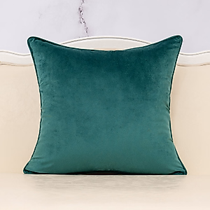 Alerfa 20 x 20 Inch Teal Luxury Velvet European Garden Style Floral Pattern Cushion Case Square Throw Pillow Cover Decorative Pillow for Couch Sofa Living Room Bedroom Car