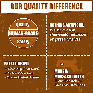 Whole Life Pet Living Treats for Dogs – Human Grade Dog Probiotics for Digestive & Gut Health, Gas, Diarrhea, Vomit & Constipation Relief, Dog Health Supplies - Peanut Butter, 12 Ounce (Pack of 1)