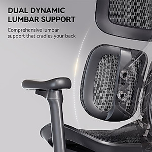 SIHOO Doro S100 Ergonomic Office Chair - with Dual Dynamic Lumbar Support, 5-Level Adjustable Backrest, 4D Coordinated Armrests, 135-degree Max. Recline Angle, Suitable for Home Office (Black)