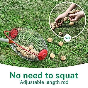 Cooltop Large Nut Gatherer, Nut Picker Rolling Acorn Picker Upper,Adjustable Lightweight Outdoor Manual Tools,Collect Walnuts,Acorns,Hickory Nuts,Golf with 1.5Gallon(Large)
