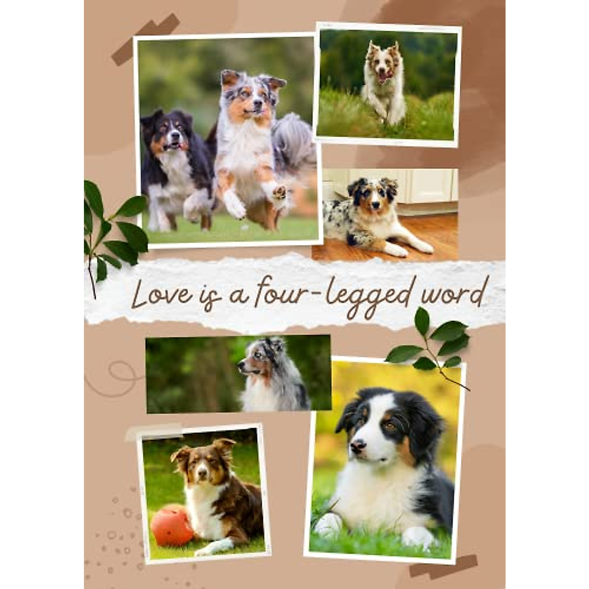 InnoBeta Australian Shepherd Gifts for Women, Best Aussie Blanket for Aussie Mom, Australian Shepherd Throw Blanket, 50 x 65 inch, Skin Friendly