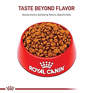 Royal Canin Size Health Nutrition Large Puppy Dry Dog Food, 17 lb bag