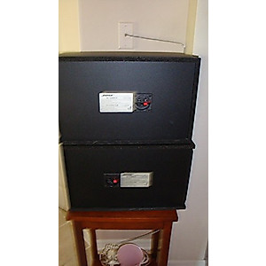 Bose 301 Series III Direct Reflecting Speaker