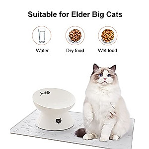 immaculife Ceramic Raised Cat Food Bowl for Elder Big Cats, Elevated Cat Dish, Tilt Angle Protect Cat's Spine, Stress Free, Backflow Prevention, Gift for cat