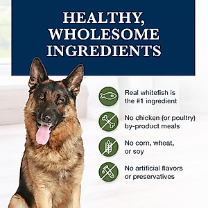 Blue Buffalo Natural Veterinary Diet GI Low Fat Gastrointestinal Support Wet Dog Food, Veterinarian's Prescription Required, Whitefish, 12.5-oz Can (Pack of 12)