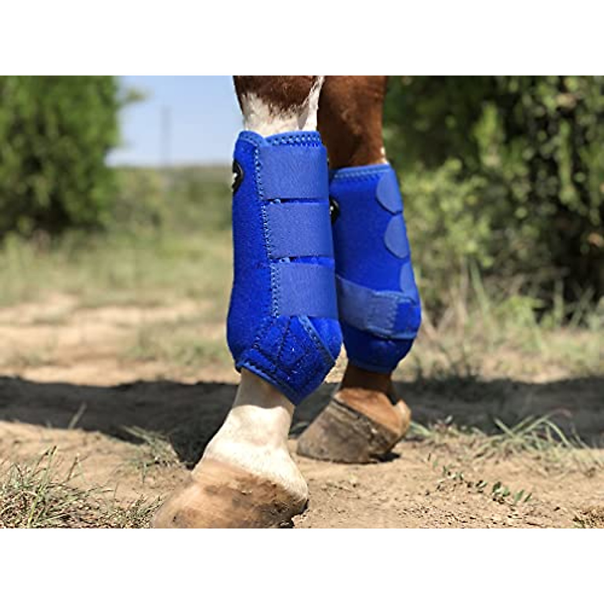 TGW RIDING Equine Sports Medicine Ventech Elite Front Leg Boot, Pair (Royal Blue, M)