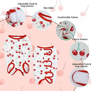 Bonaweite Dog Recovery Suit After Surgery, Pet Professional Surgical Shirt for Male Female Dogs Abdominal Wounds Bandage, Substitute E-Collar & Cone, Post-Operative Puppy Cat Onesies Snugly Vest