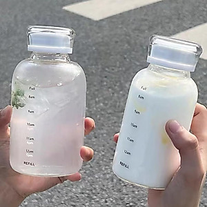 550ml Milk Juice Cute Water Bottle Portable Transparent Gray Water Cup Glass Bottles Creative Handy Cup with Scale Straw 2 Lids Aesthetic Cute Water Bottles